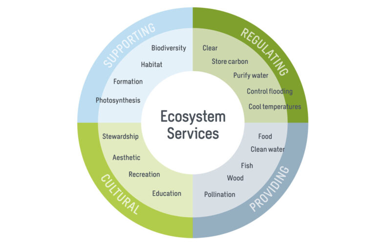Sweco Group - Report: Circular city transformation – 5 pathways and 15 ...