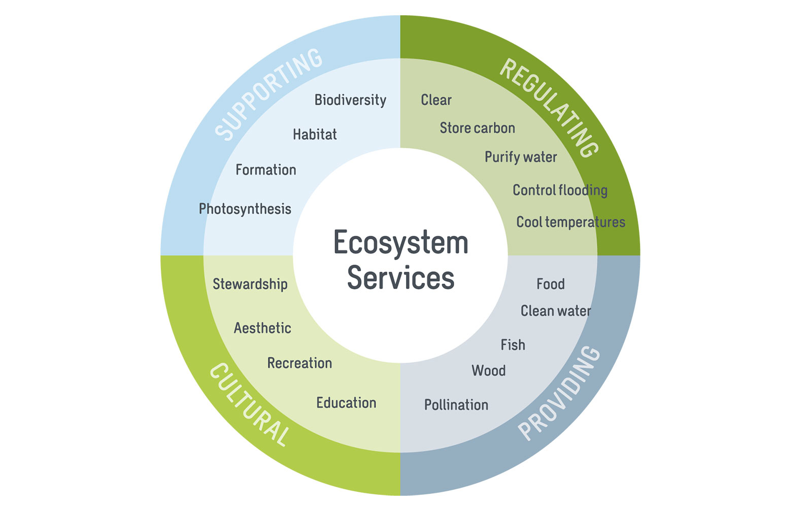 Sweco Group - Report: Circular city transformation – 5 pathways and 15 ...