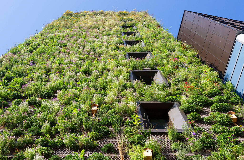 Sweco Group - Oslo City